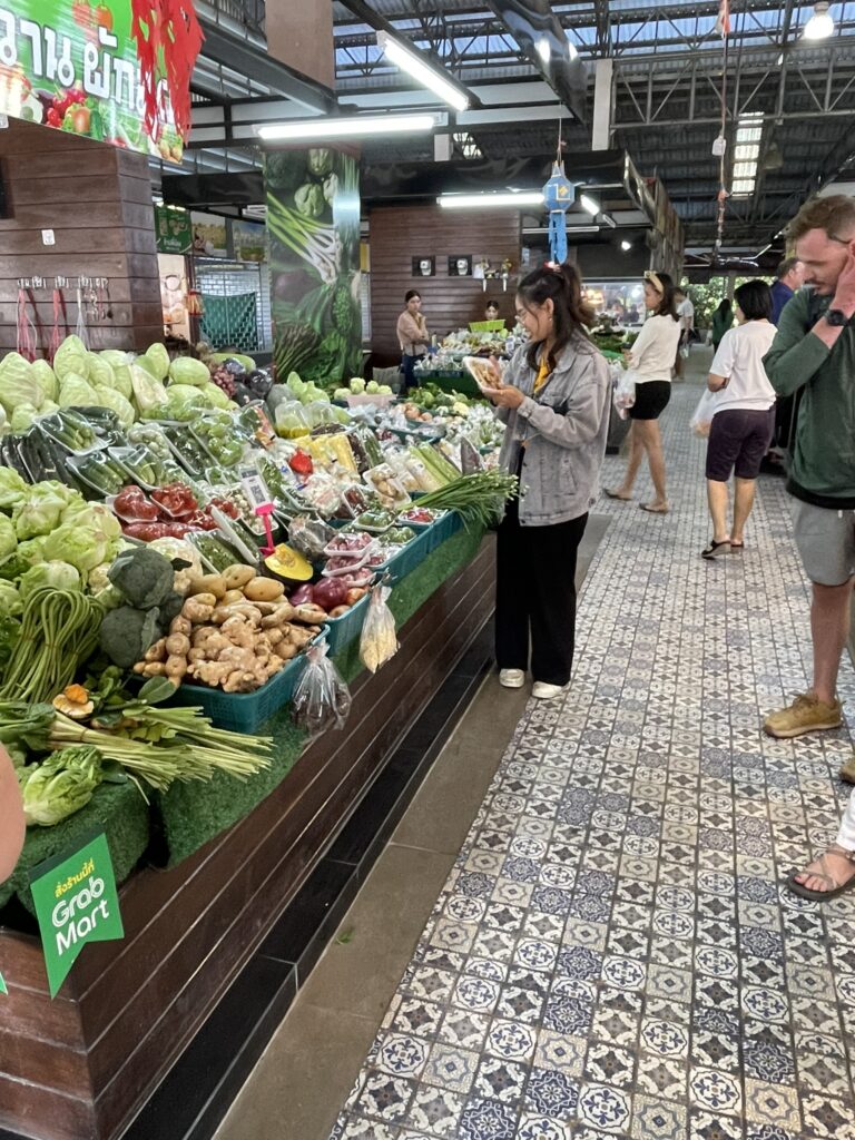 Olifantenopvang en motor rijden in Chiang Mai - byMariaCatharina